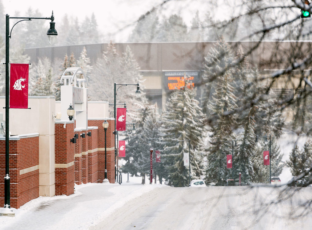 Photos capture first snow at WSU Pullman – WSU Insider