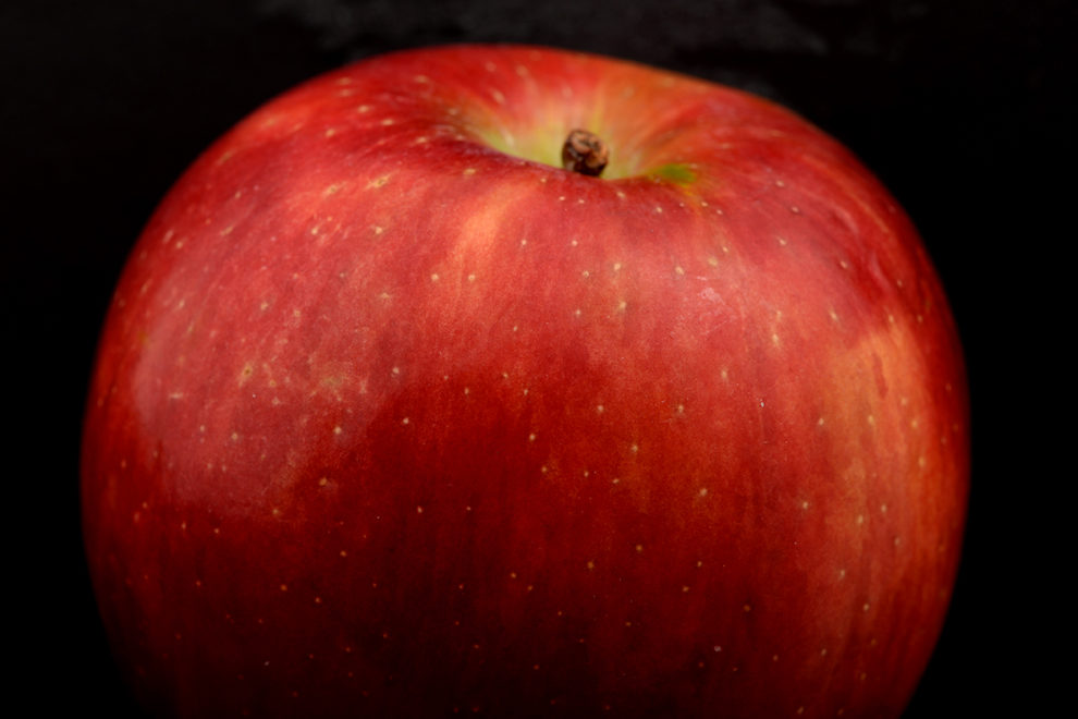 Horticulture students assemble Cosmic Crisp™ apple genome – WSU Insider