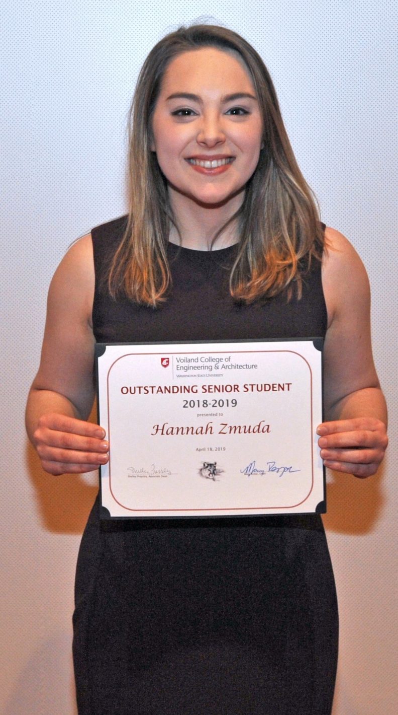 Voiland College names 2019 outstanding students, faculty and staff ...