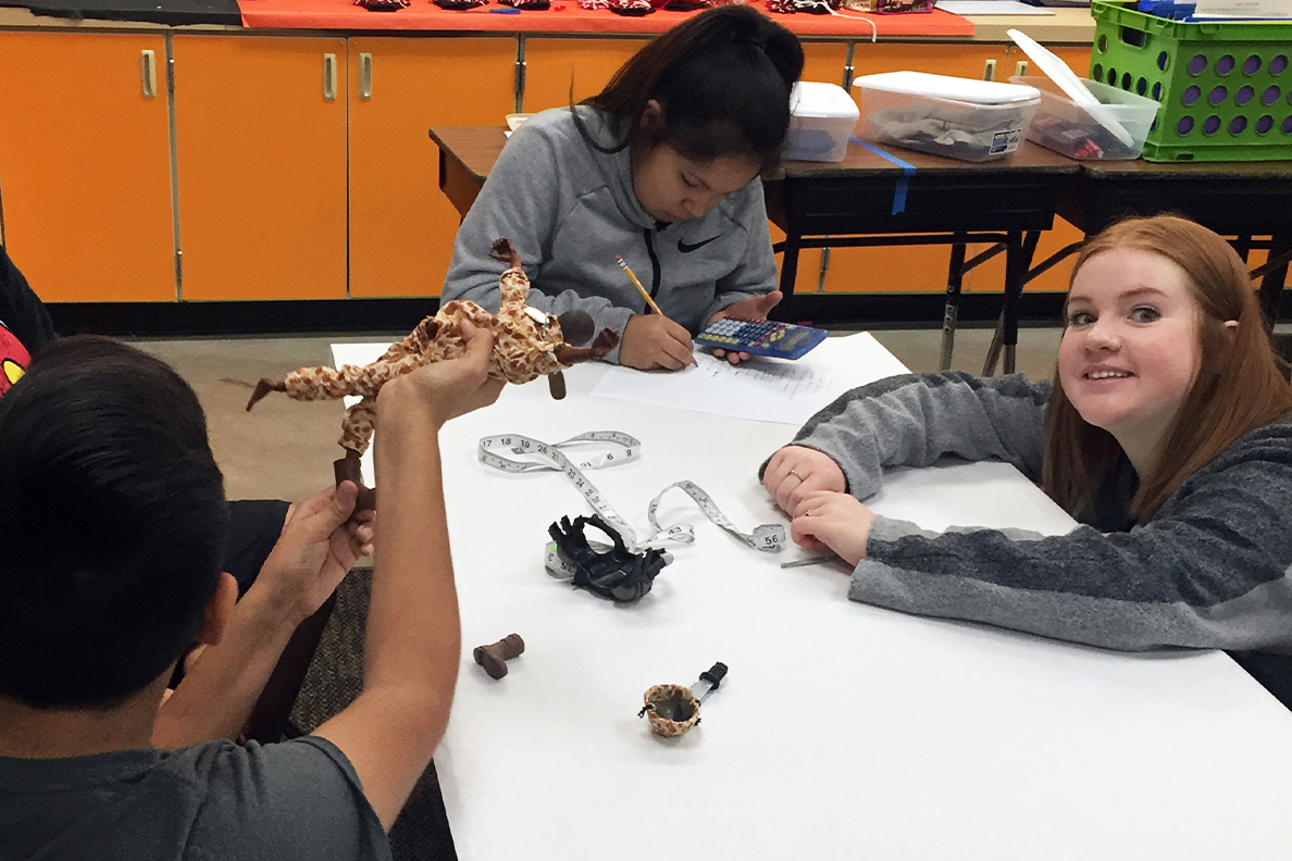 Future math teachers instruct, learn from rural school children – WSU ...
