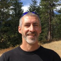 Cameras reveal snowshoe hare density in forests – WSU Insider