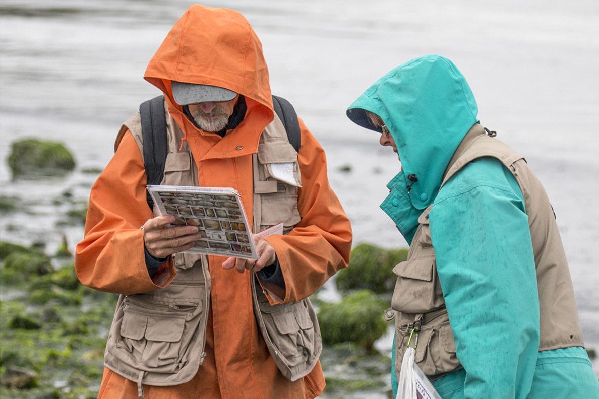 Training course for those interested in beach stewardship, research and ...