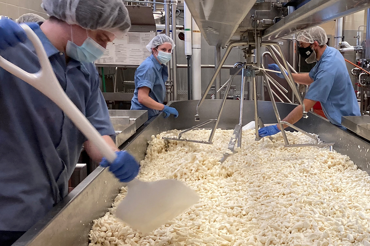 Rachael Ray Show to feature Cougar Gold, WSU students – WSU Insider