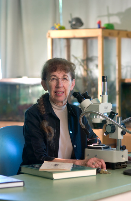 New entomology scholarship honors WSU adjunct professor, alumna Laurel ...