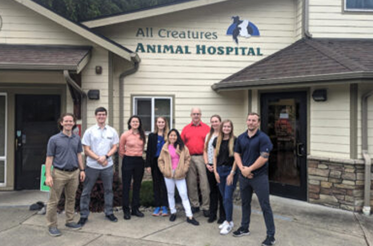 Practice management curriculum gives veterinarians a head start – WSU ...