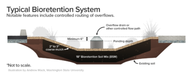 Detaining water | Rural Stormwater Solutions | Washington State University