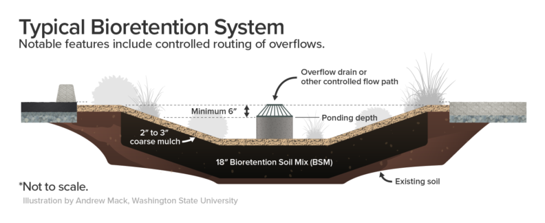 Detaining water | Rural Stormwater Solutions | Washington State University
