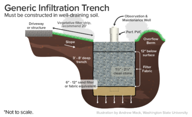 Detaining water | Rural Stormwater Solutions | Washington State University
