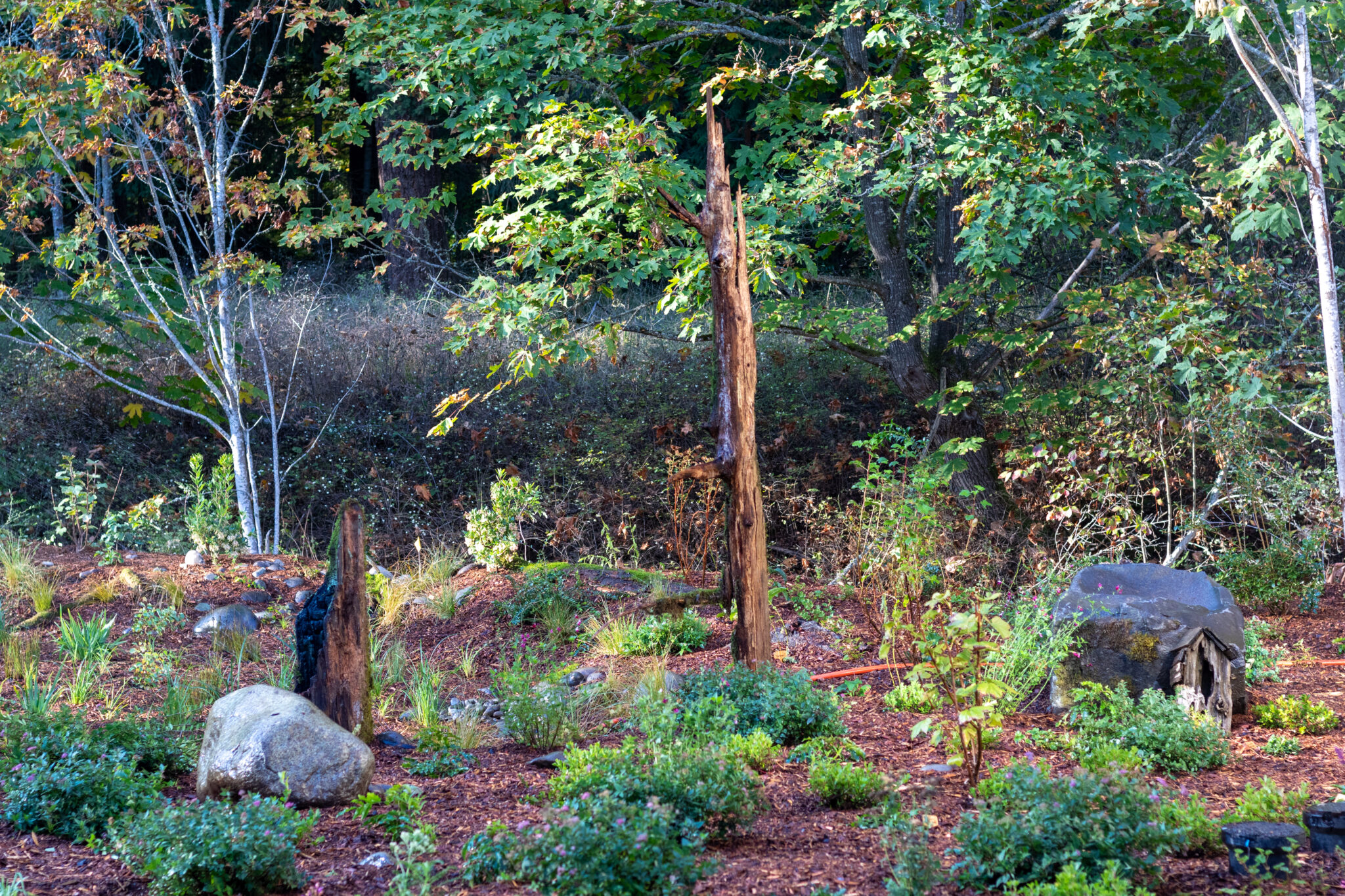 Building a Rain Garden | Rural Stormwater Solutions | Washington State ...