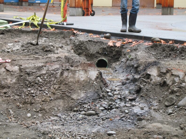 Building a Rain Garden | Rural Stormwater Solutions | Washington State ...