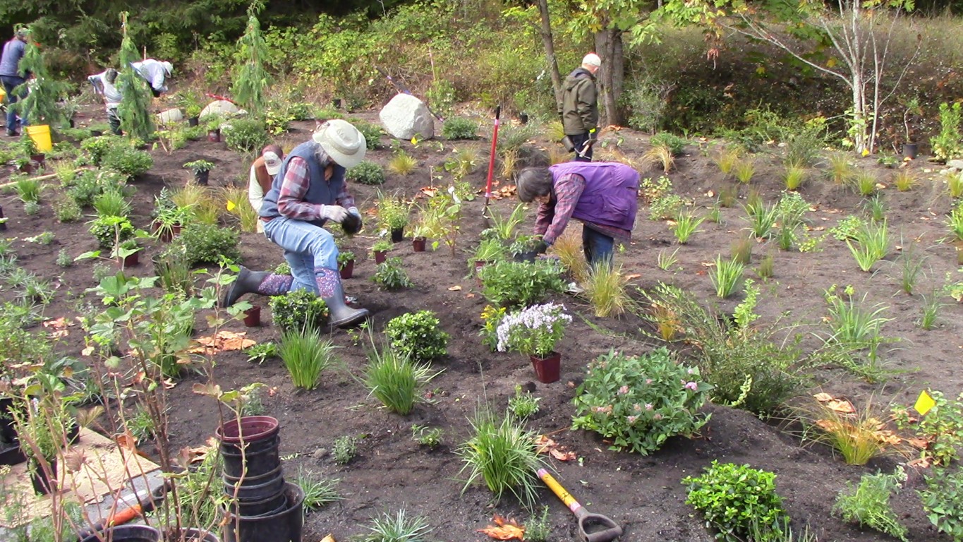 Building a Rain Garden | Rural Stormwater Solutions | Washington State ...