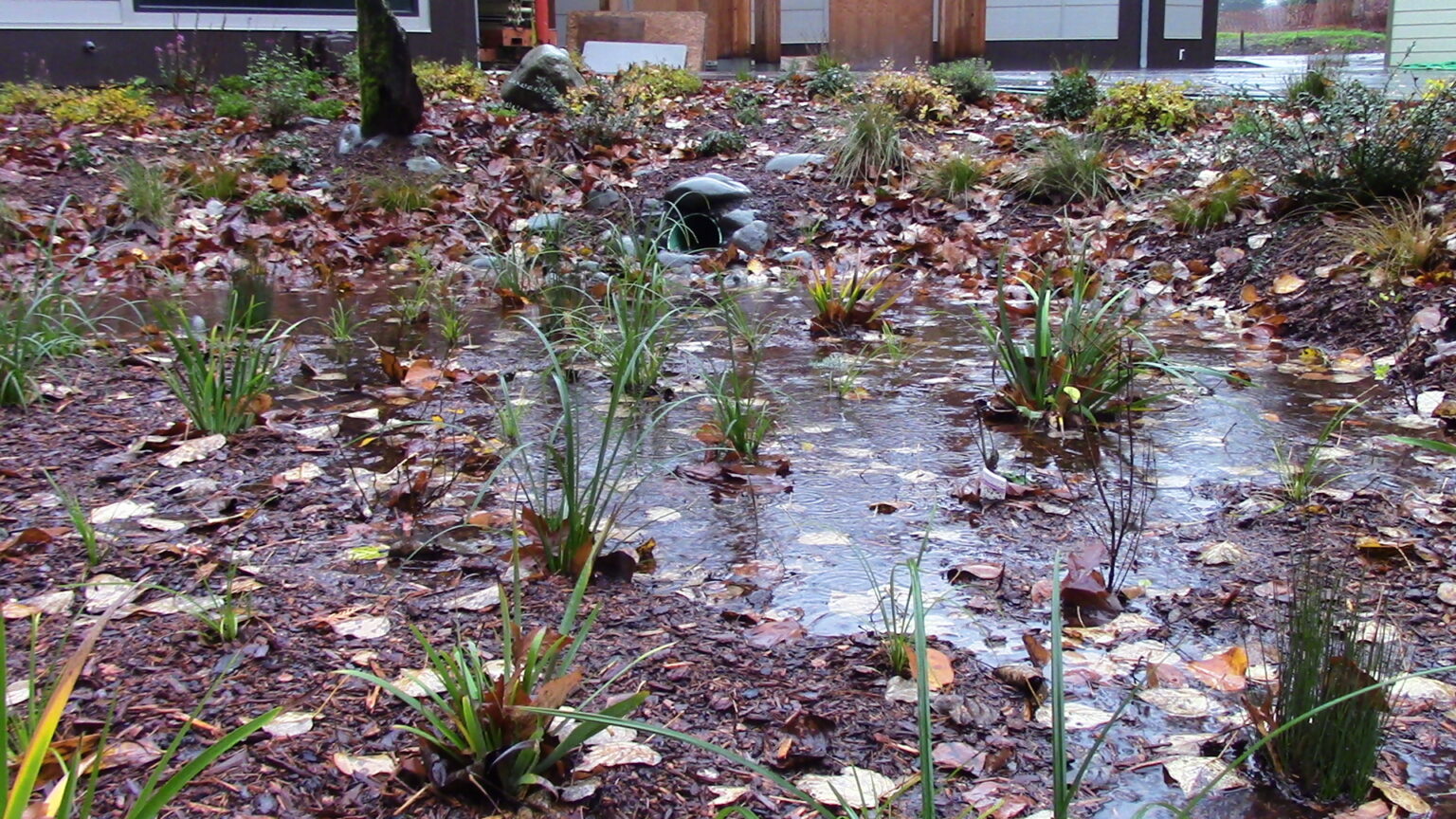 Demonstration Sites | Rural Stormwater Solutions | Washington State ...