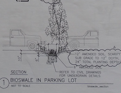 Example Bioinfiltration Swale | Rural Stormwater Solutions | Washington ...
