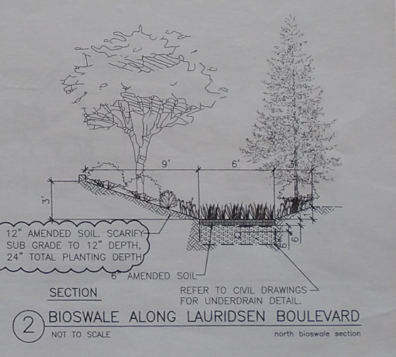 Example Bioinfiltration Swale | Rural Stormwater Solutions | Washington ...