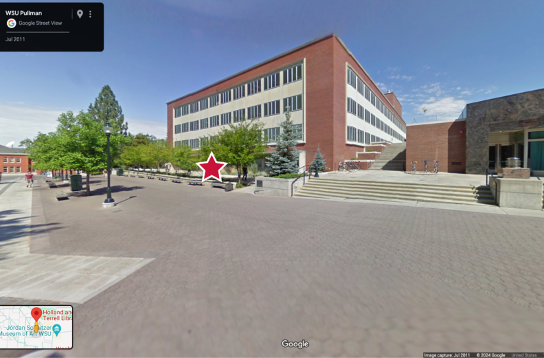 Information Technology Services | Washington State University