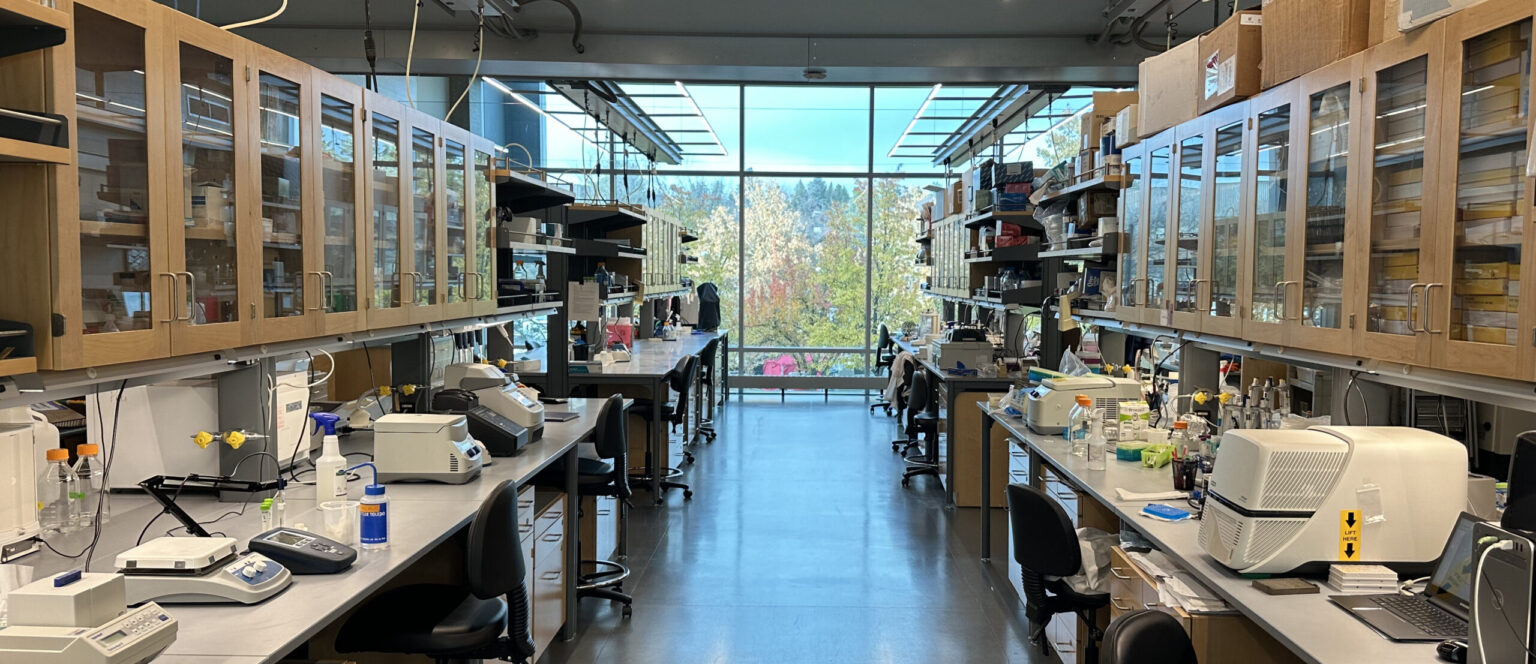 Law Laboratory | Washington State University