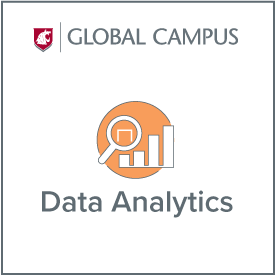 Data Analytics | WSU Global Campus | Washington State University