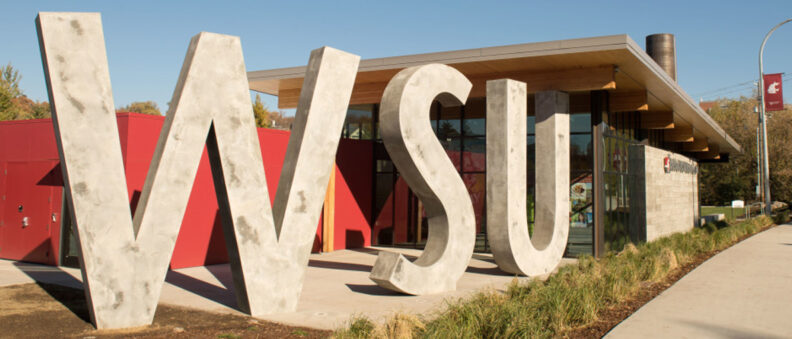 Earn Three Credits in Three Weeks with Intersession! | WSU Global ...