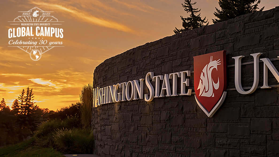 Student Involvement | WSU Global Campus | Washington State University