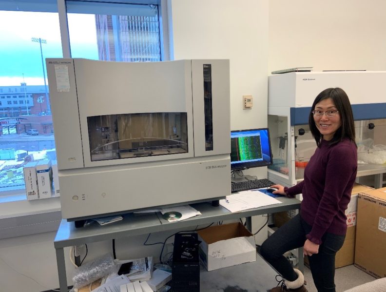 Sanger Sequencing | Laboratory for Biotechnology and Bioanalysis ...