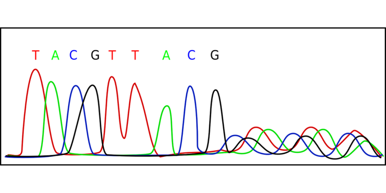 DNA Sequencing | Laboratory for Biotechnology and Bioanalysis ...