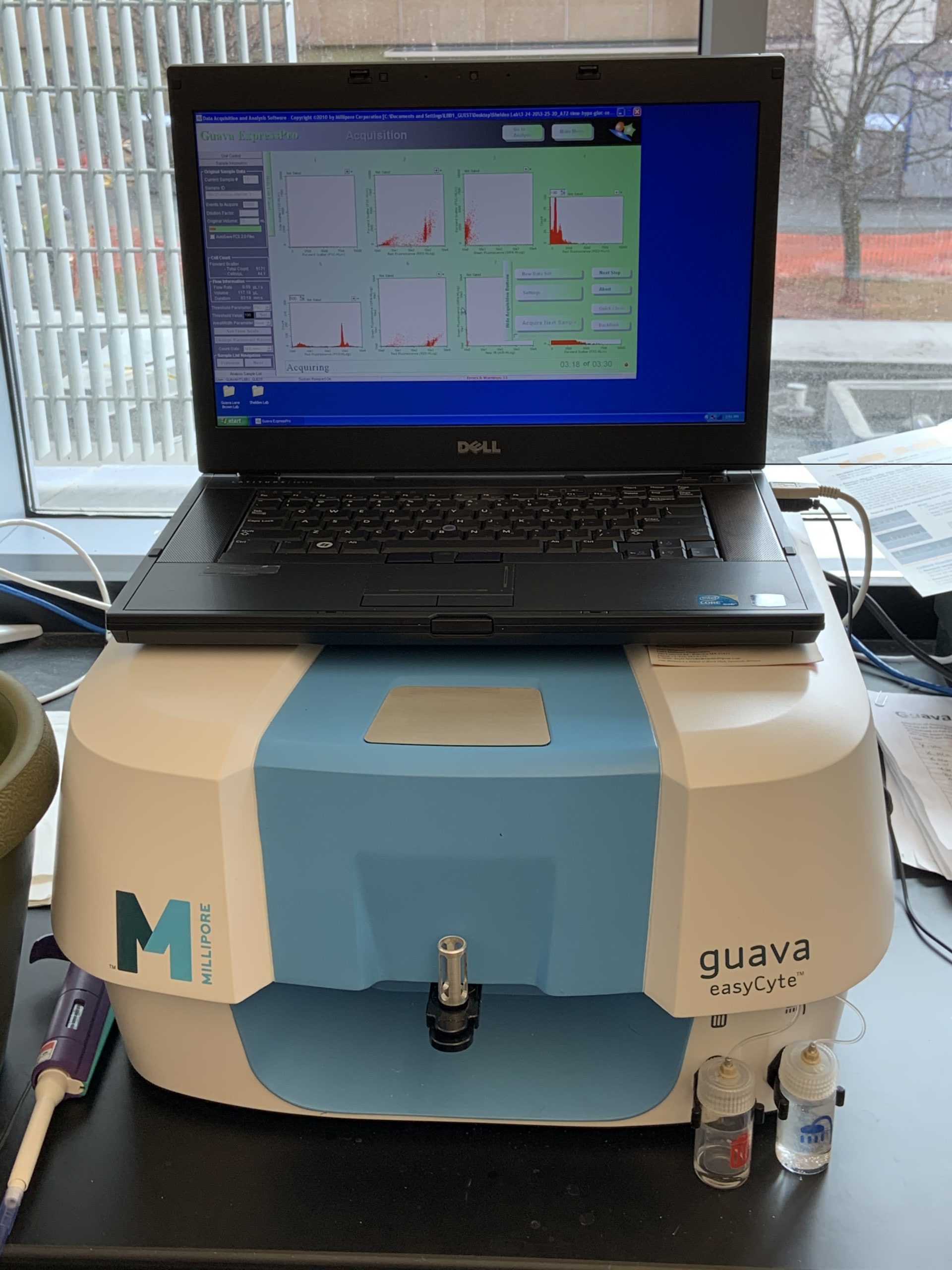 Guava easyCyte 5 | Laboratory for Biotechnology and Bioanalysis ...