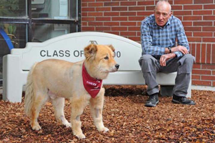 The Human Animal Bond | Veterinary Teaching Hospital | Washington State ...