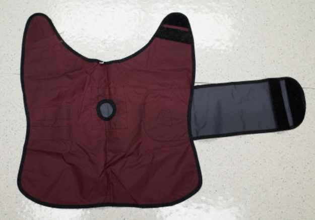 How to fit a dog with a Holter monitor | Veterinary Teaching Hospital ...