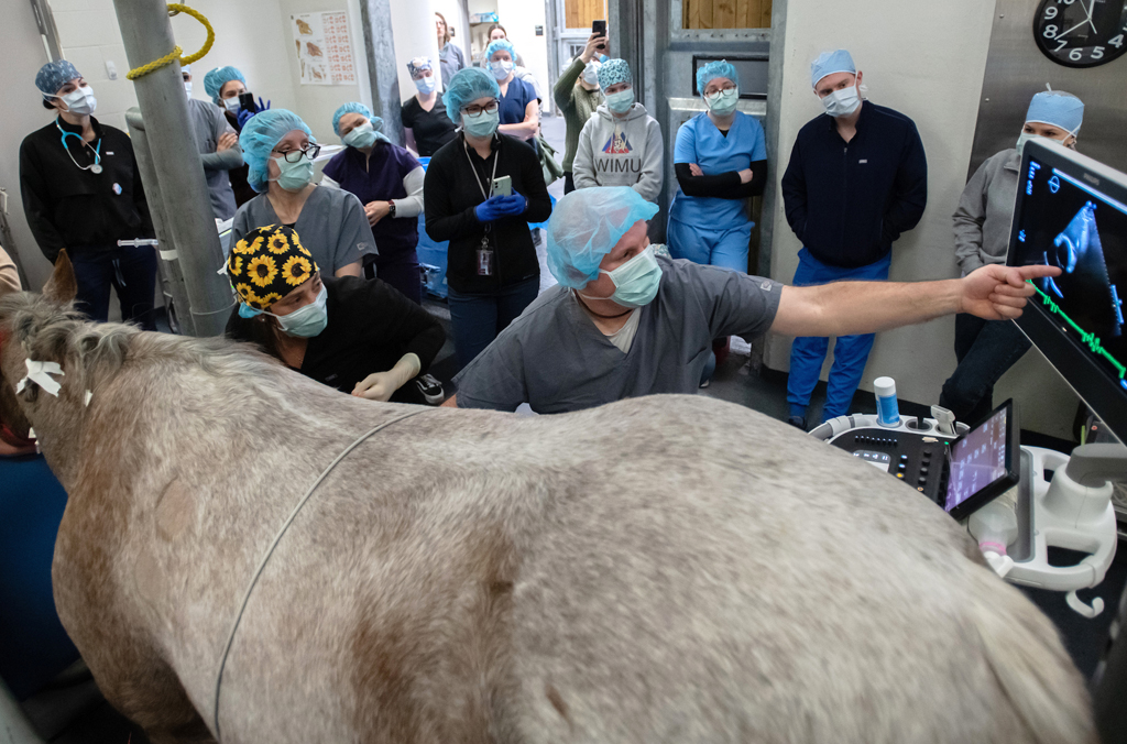 Veterinary Teaching Hospital | Washington State University