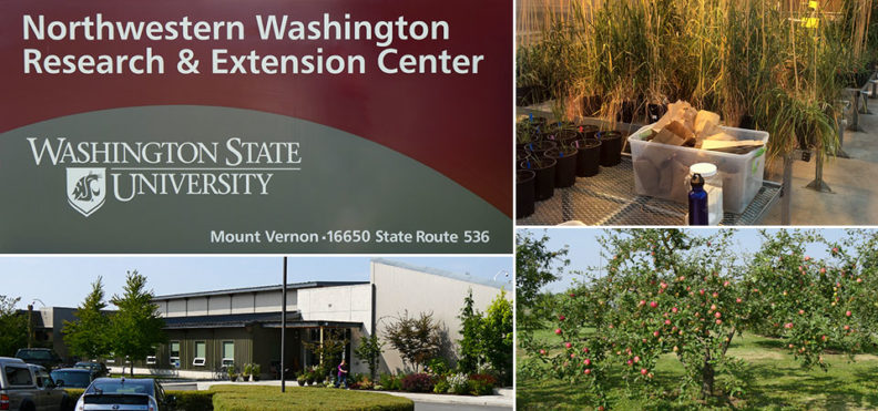 Research Stations | WSU Sustainability | Washington State University