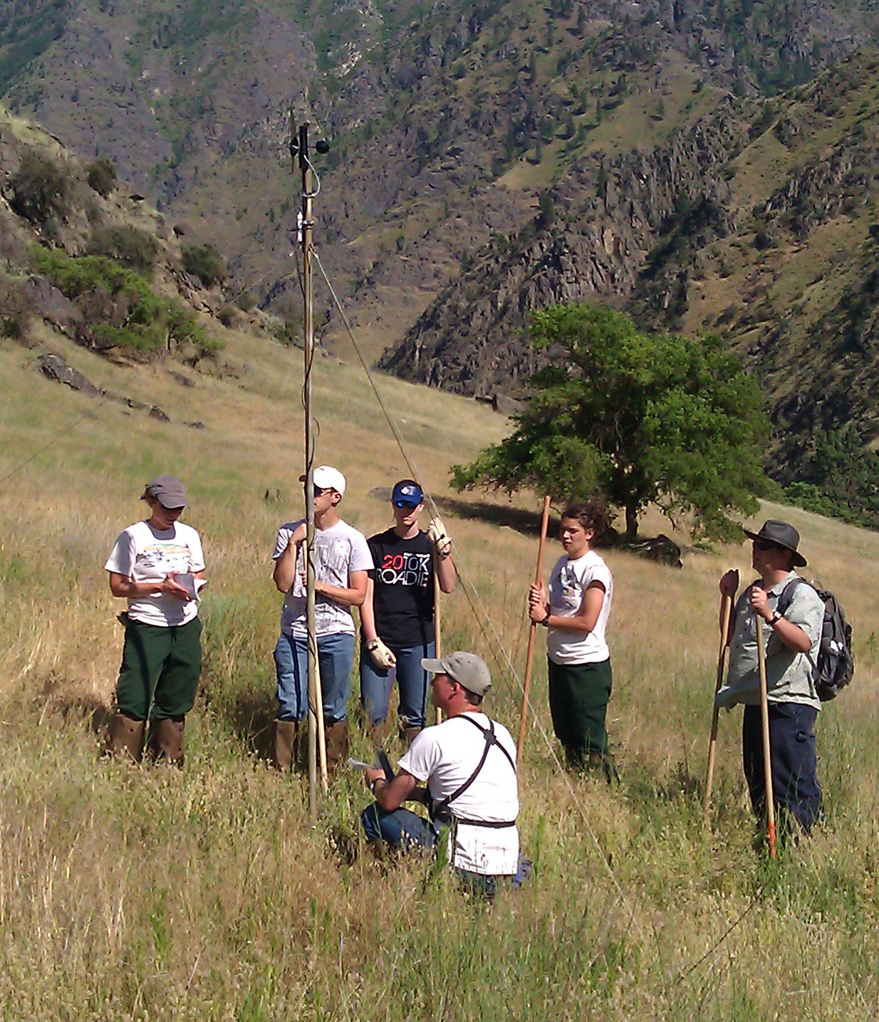 What is CEREO? | CEREO | Washington State University