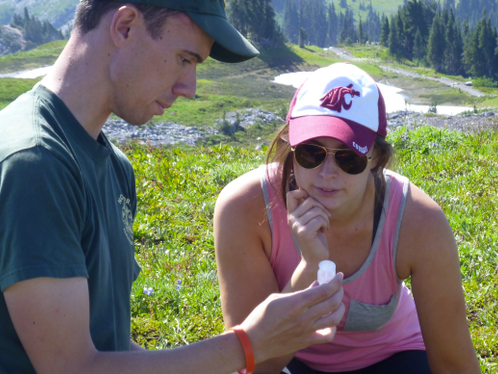 CEREO Newsroom | CEREO | Washington State University