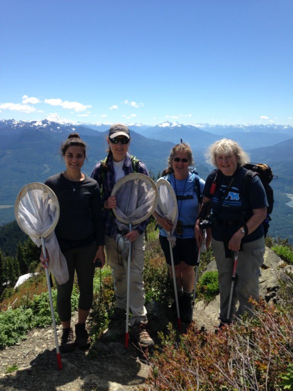 Rebecca Evans Capstone Experience | CEREO | Washington State University