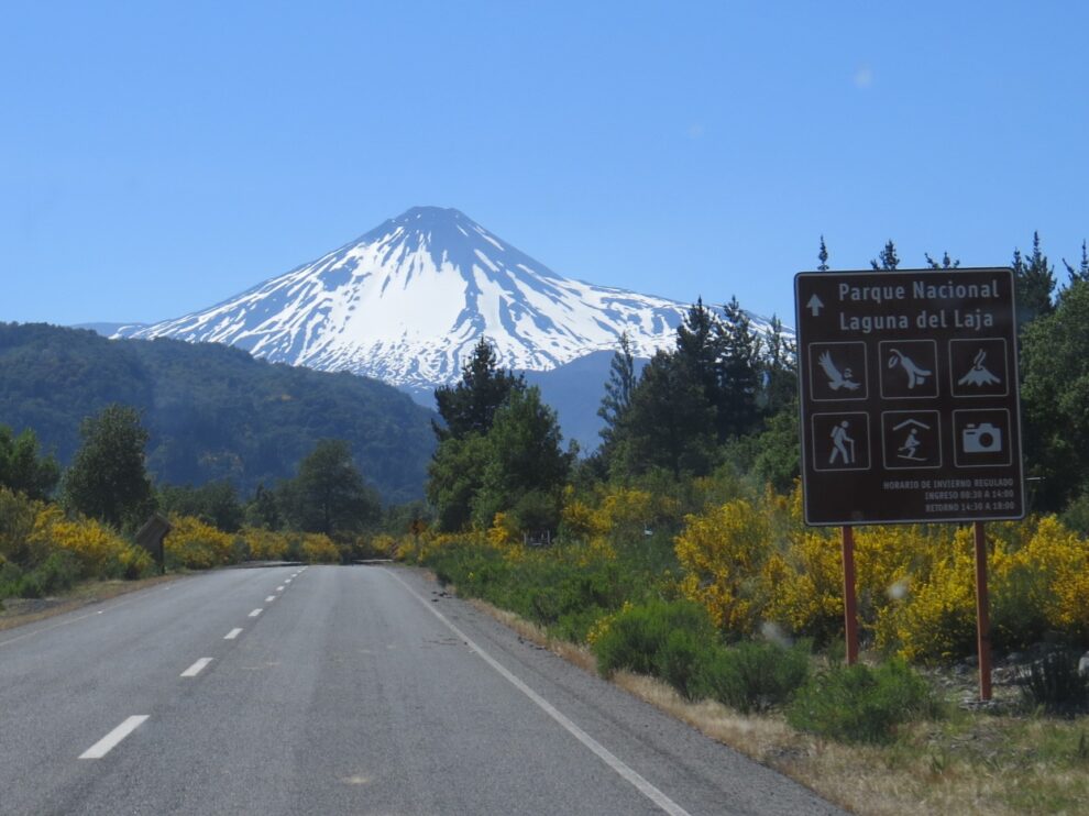 Research Projects | CEREO | Washington State University