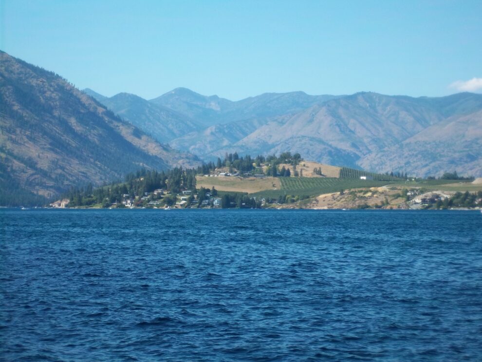 Research Projects | CEREO | Washington State University