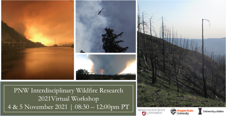 Interdisciplinary Wildfire Workshop 2021 | CEREO | Washington State ...