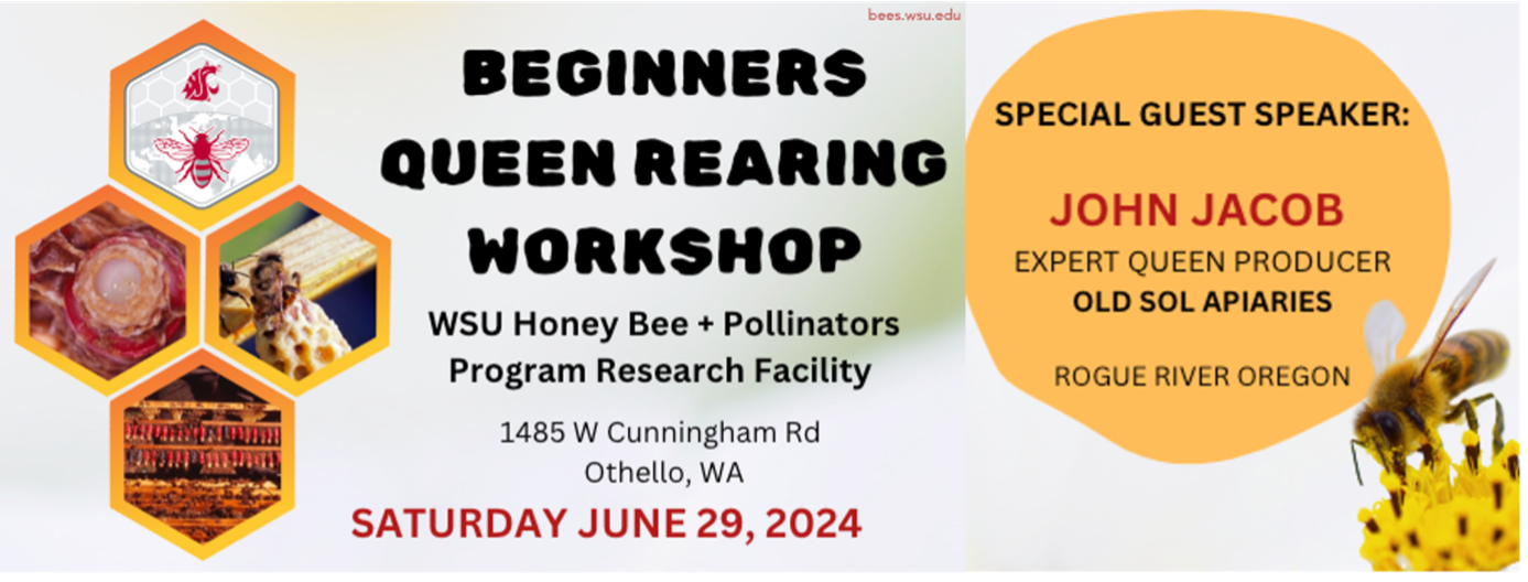 February 2024 | WSU Honey Bees + Pollinators Program | Washington State ...