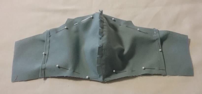 Mask Pattern | College of Nursing | Washington State University