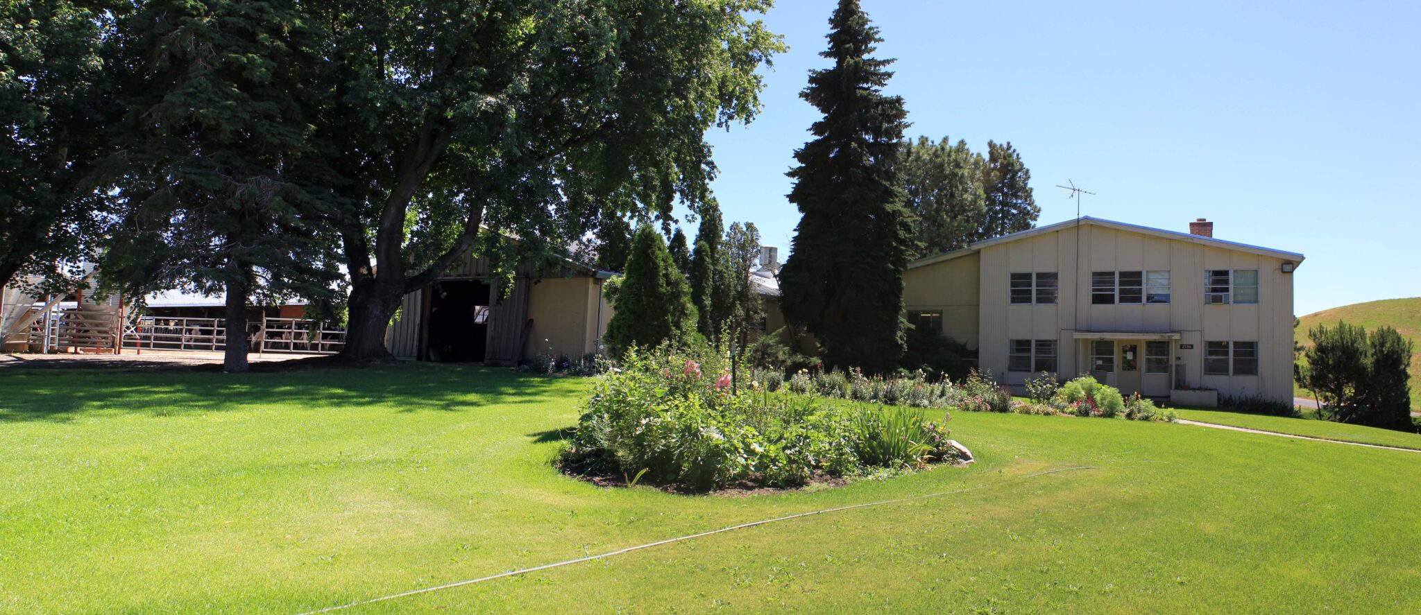 Animal Sciences | Washington State University