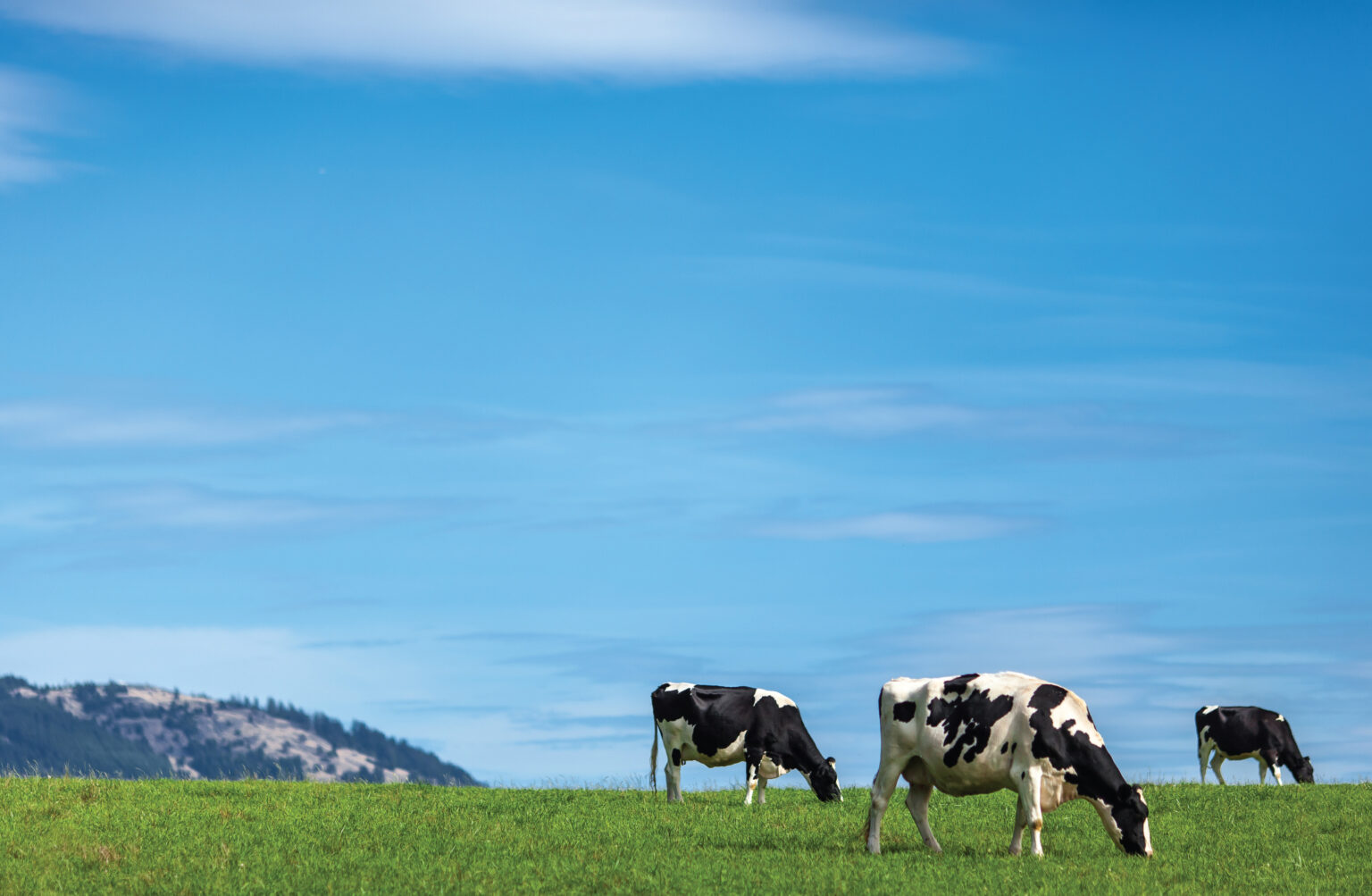 GOOD: Genetically optimized organic dairy | Animal Sciences ... GOOD: Genetically optimized organic dairy | Animal Sciences ...