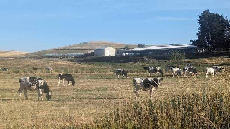 Animal Sciences | Washington State University