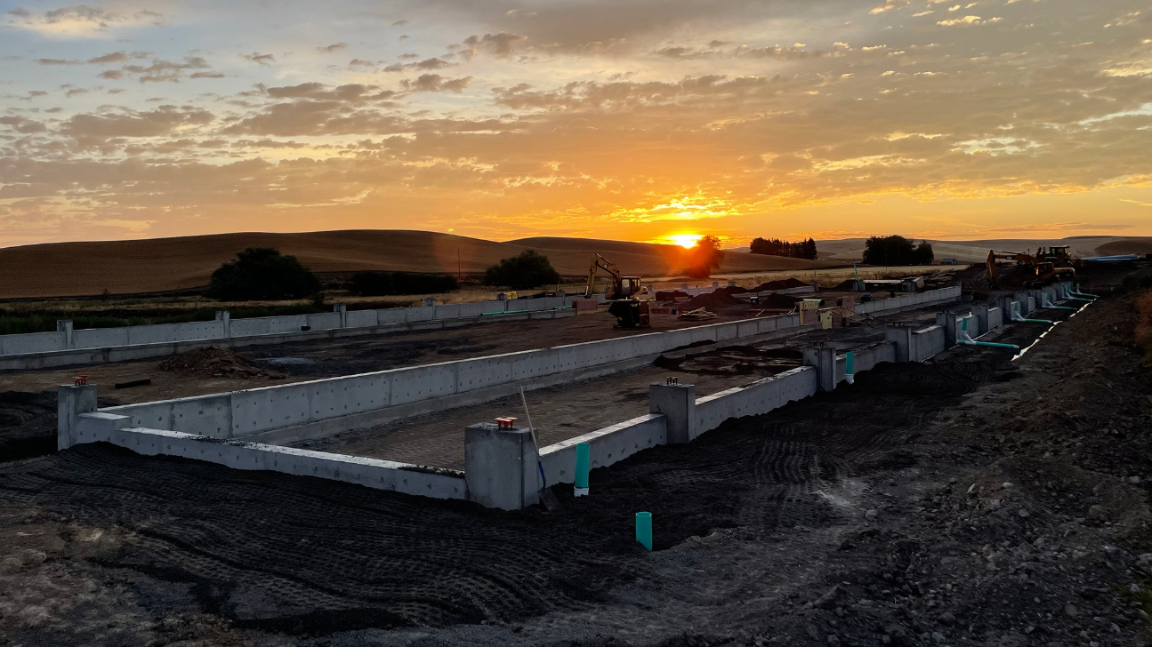 Animal Sciences | Washington State University