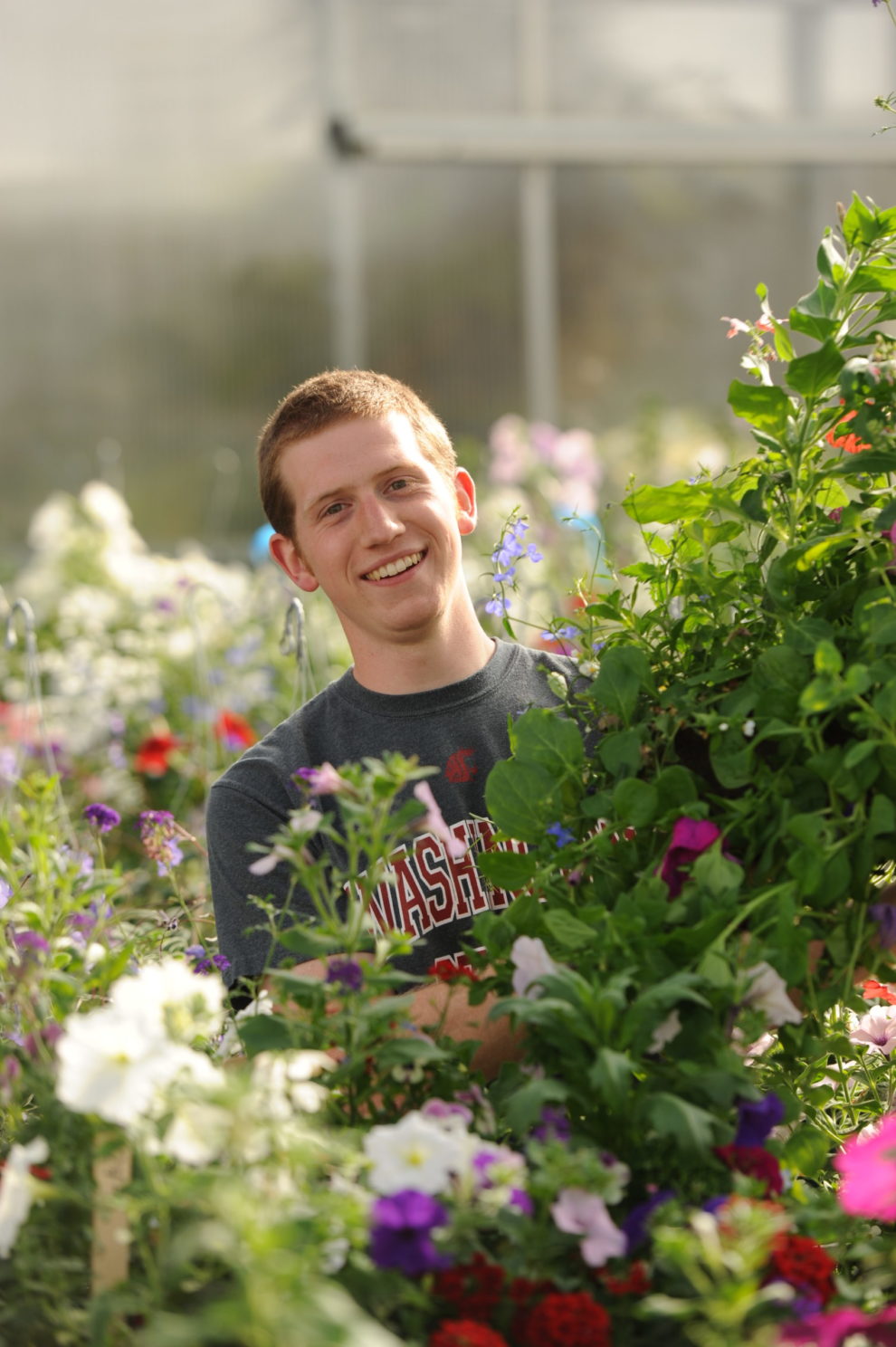 Undergraduate Degree Programs | Department of Horticulture | Washington State University