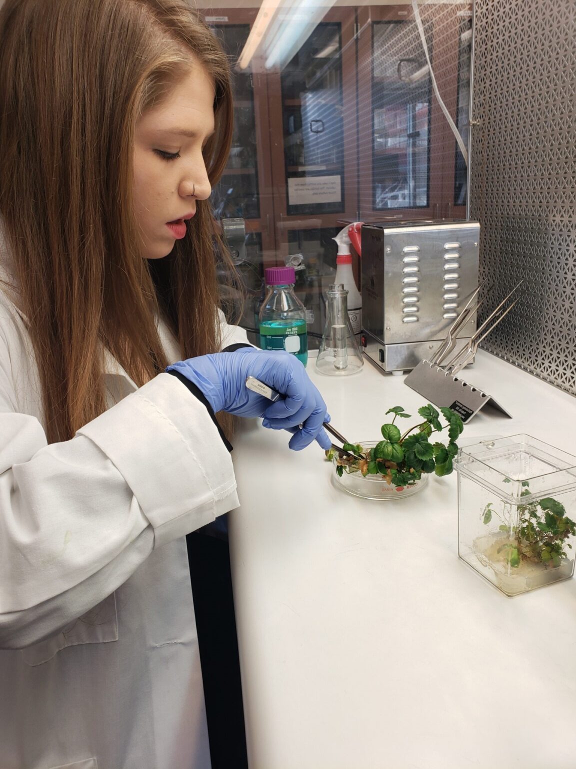 Academics | Department of Horticulture | Washington State University