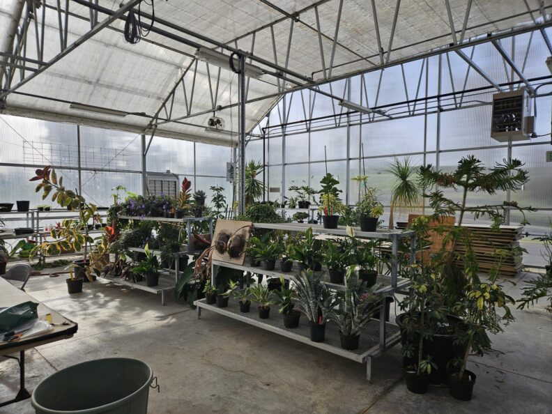 Teaching Greenhouses | Department of Horticulture | Washington State ...
