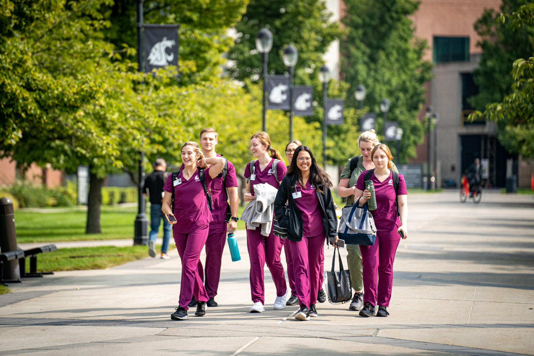 Is nursing for you? | College of Nursing | Washington State University