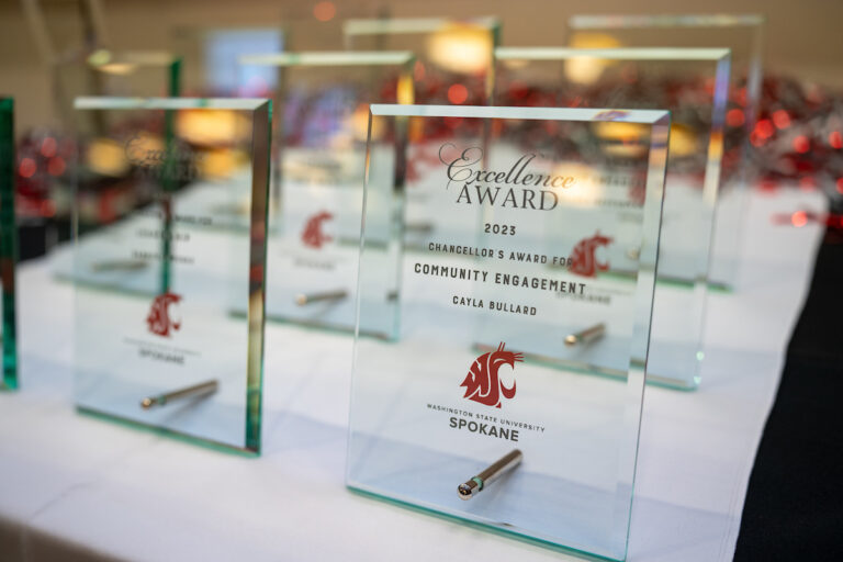 Nursing students honored at 2023 Chancellor’s Excellence Awards | College of Nursing ...