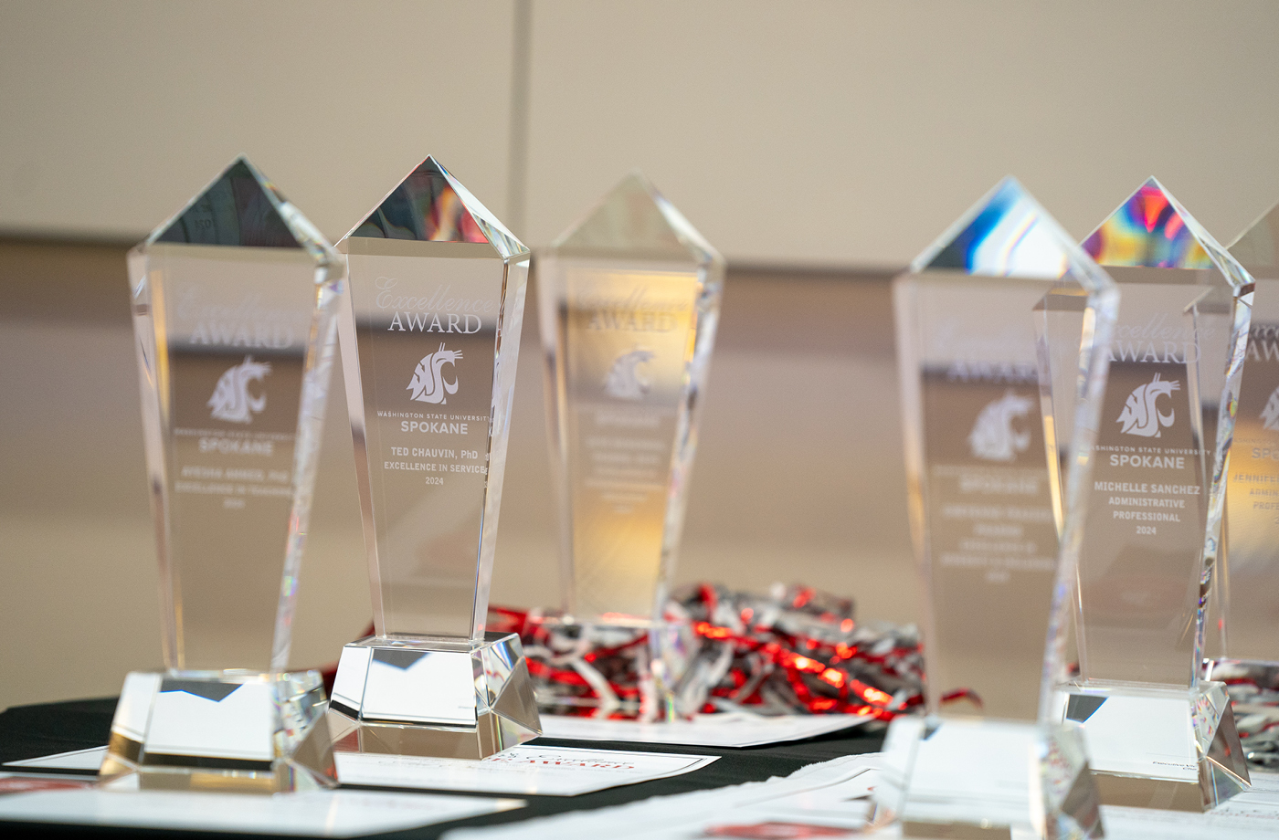 Faculty, Staff, and Students Recognized in Chancellor’s Excellence Awards | Elson S. Floyd ...