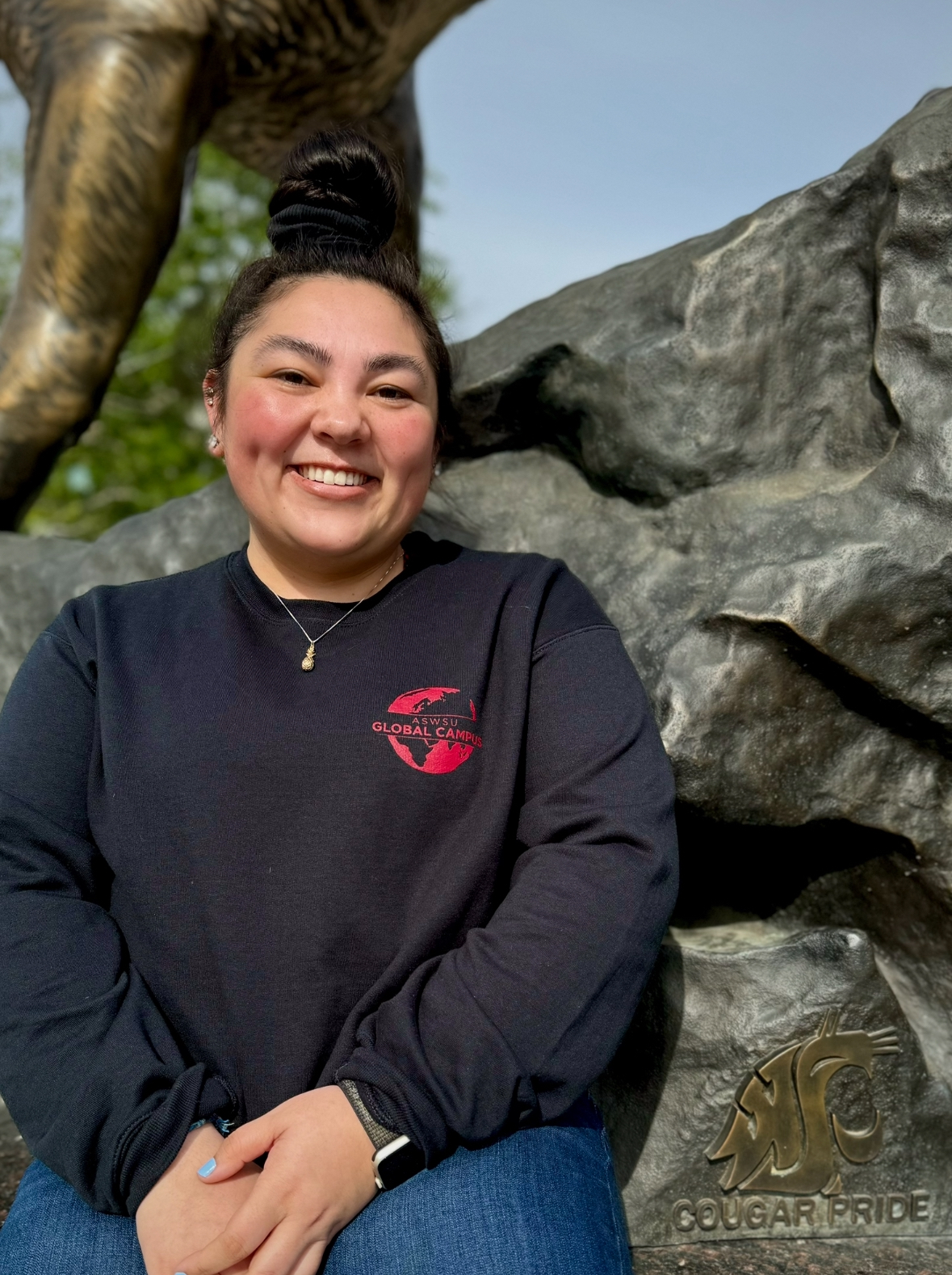 About Us | ASWSU Global | Washington State University