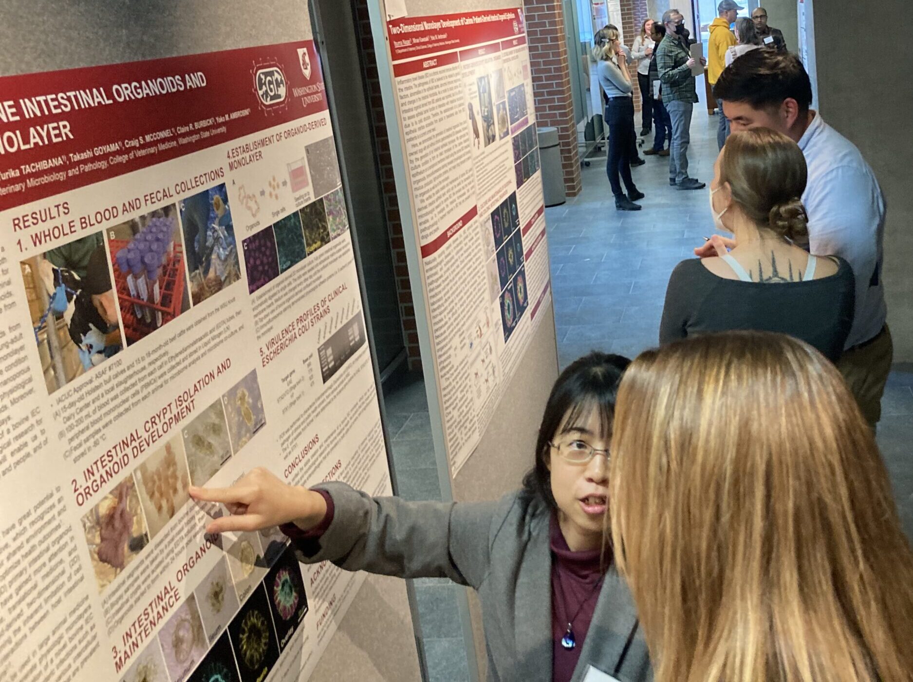 News | Ambrosini Lab | Washington State University